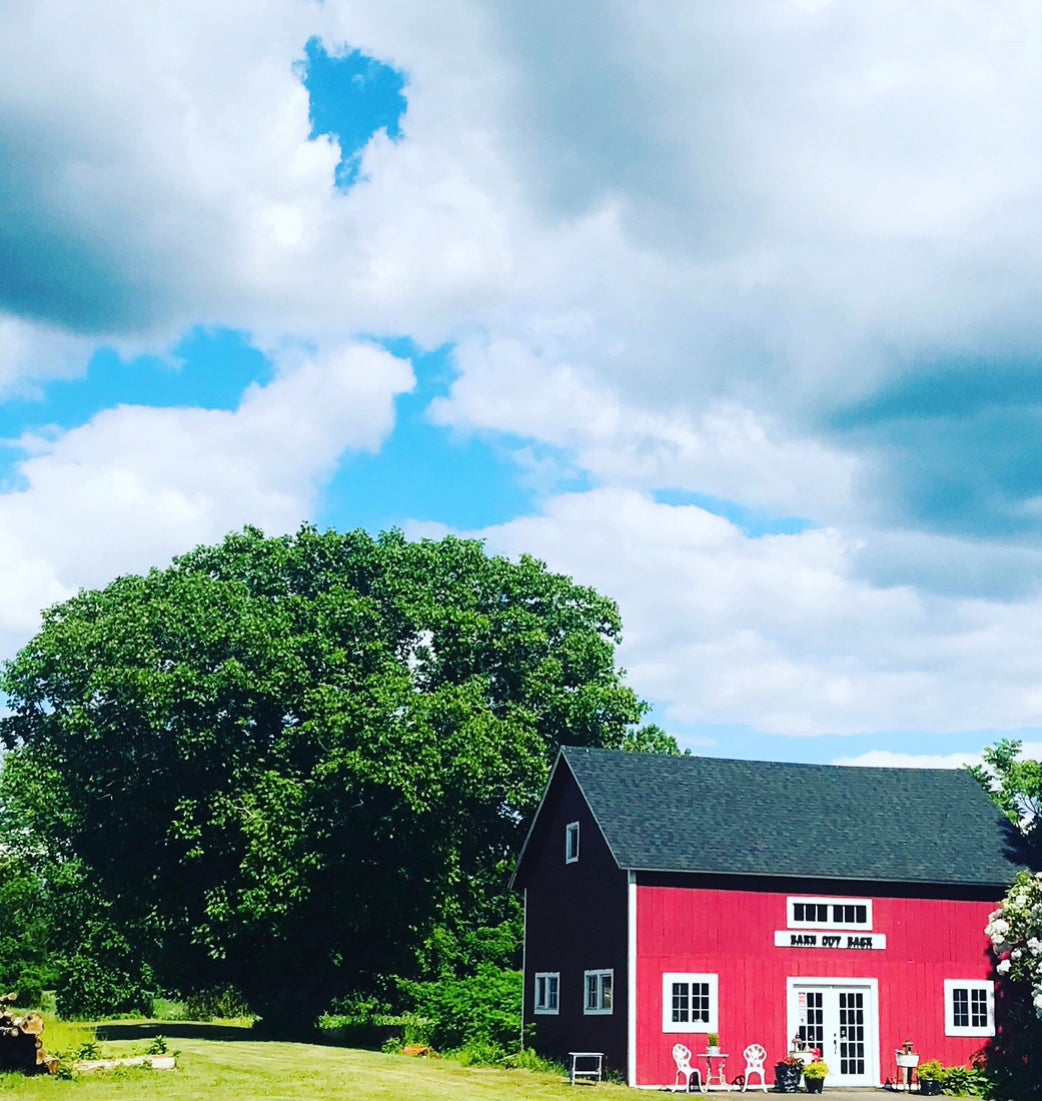 Home | Barn Out Back LLC